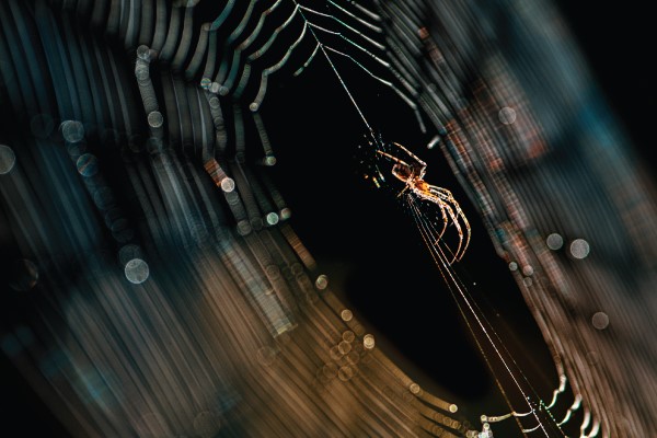 Microsoft Identifies Scattered Spiders Use of Qilin Ransomware in New ...